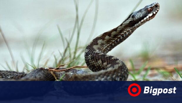 Θεσσαλονίκη: «Είναι σταθερή η κατάστασή της», λέει η μητέρα της ...