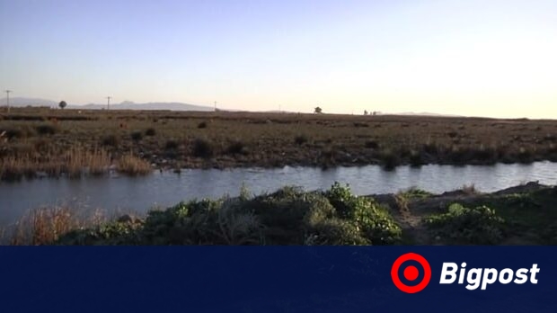 Μεσολόγγι: Βρέθηκε σε βάλτο στην περιοχή Ευαγγελίστρια η σορός του ...
