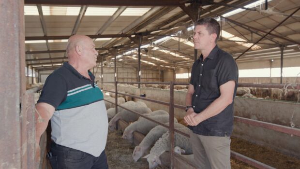 To «Prime Time» ανοίγει τον φάκελο ΟΠΕΚΕΠΕ - Απόψε, Δευτέρα 13 Οκτωβρίου στις 22.45, στον ΣΚΑΪ ...